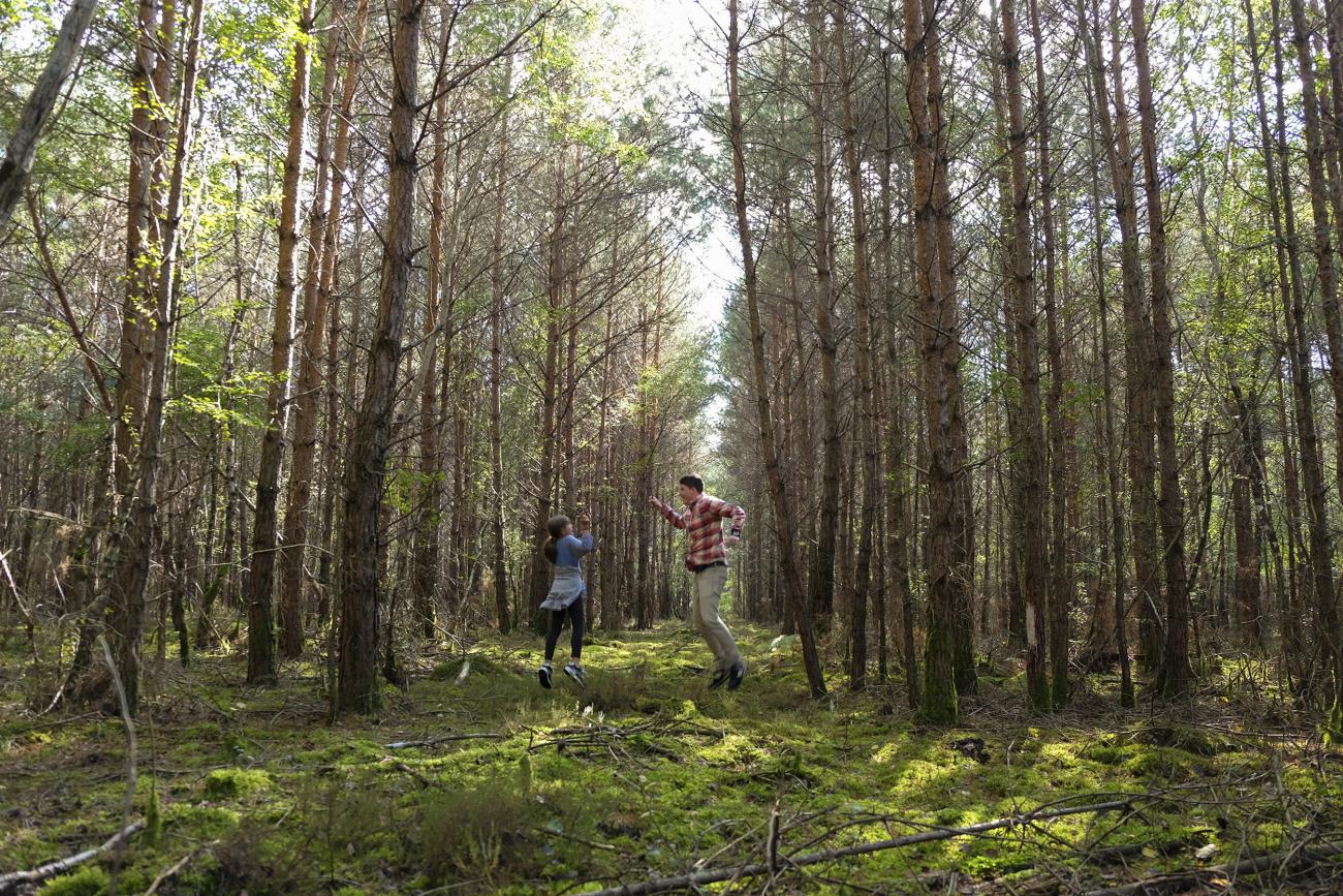 Balades dans la nature en Sologne | Tourisme Loiret